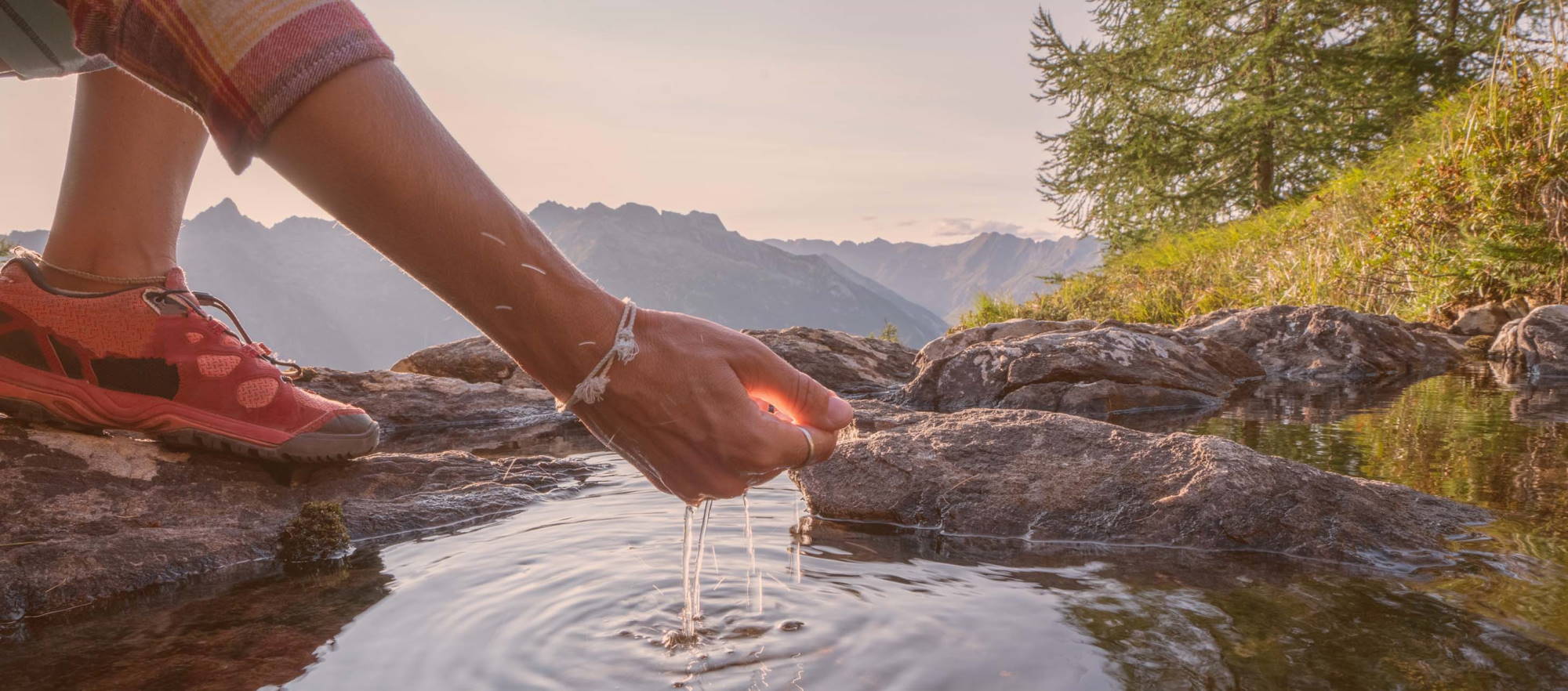 Cantine Maschio - Sustainability